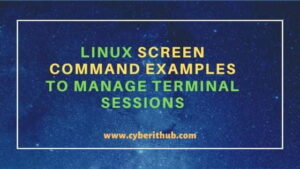 17 Popular Linux Screen command examples to Manage Terminals Sessions | CyberITHub