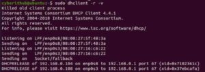 How to Release old IP or force Renew DHCP lease IP in Linux | CyberITHub