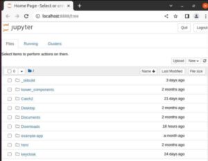 How to Install Jupyter Notebook on Ubuntu 20.04 LTS (Focal Fossa) | CyberITHub