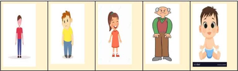 What is Selection Sort Algorithm [Explained with Practical example ...