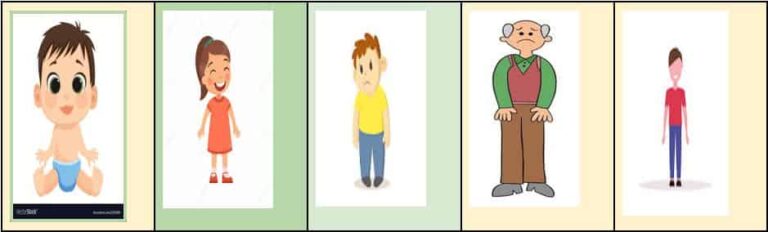 What is Selection Sort Algorithm [Explained with Practical example ...