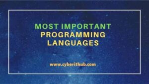 Most Important Programming Languages | CyberITHub