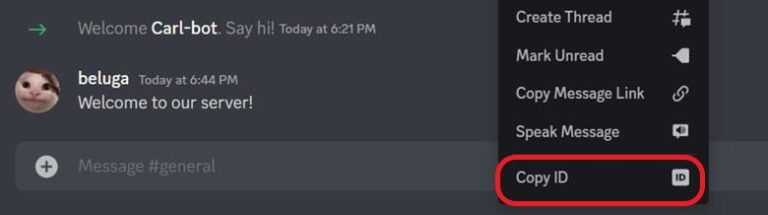 How to make a Reaction role with Carl Bot | CyberITHub