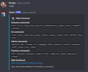 How to Add and Use Hydra Discord Music Bot | CyberITHub