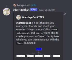 How to Use MarriageBot [MarriageBot Commands with Examples] | CyberITHub