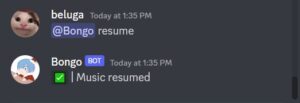 How to Use Bongo Discord Bot [Bongo Bot Commands] | CyberITHub