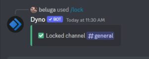 How to Use Dyno Discord Bot [Dyno Bot Commands] | CyberITHub