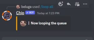 How to Use Chip Discord Bot [Chip Bot Commands] | CyberITHub