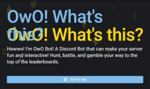 How to Use OwO Discord Bot [OwO Bot Commands] | CyberITHub