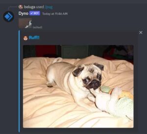 How to Use Dyno Discord Bot [Dyno Bot Commands] | CyberITHub