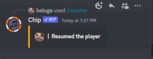 How to Use Chip Discord Bot [Chip Bot Commands] | CyberITHub