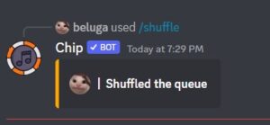 How to Use Chip Discord Bot [Chip Bot Commands] | CyberITHub