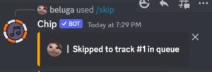 How to Use Chip Discord Bot [Chip Bot Commands] | CyberITHub