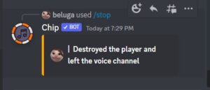 How to Use Chip Discord Bot [Chip Bot Commands] | CyberITHub