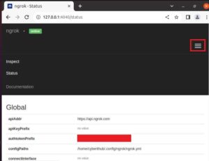 How to Install NGROK on Ubuntu 20.04 LTS (Focal Fossa) | CyberITHub