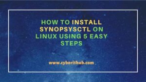 How to Install Synopsysctl on Linux Using 5 Easy Steps | CyberITHub
