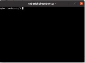 How to Install xterm on Ubuntu 20.04 LTS (Focal Fossa) | CyberITHub